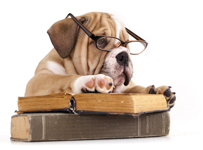 Course Recommendations Harvard Law School Animal Law Society Course Recommendations Harvard Law School Animal Law Society