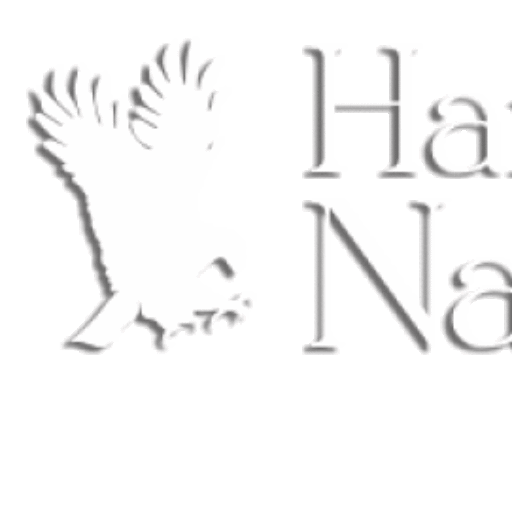 Harvard National Security & Law Association